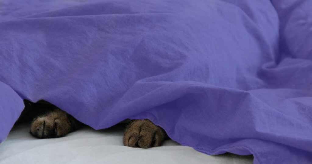 The Post Holiday Blues Internal Groove